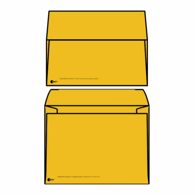 eKEY Multimedia Mailer Envelopes, 6" x 8" Roptex eKEY Multimedia Mailer ...