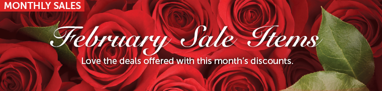 Monthly Sales — Discounted Office Supplies - The Supplies Shops